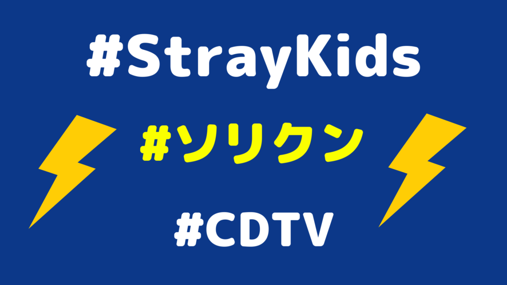 Stray Kids Hyunjin celebrates his dog Kkami’s birthday! Kkami is so ...