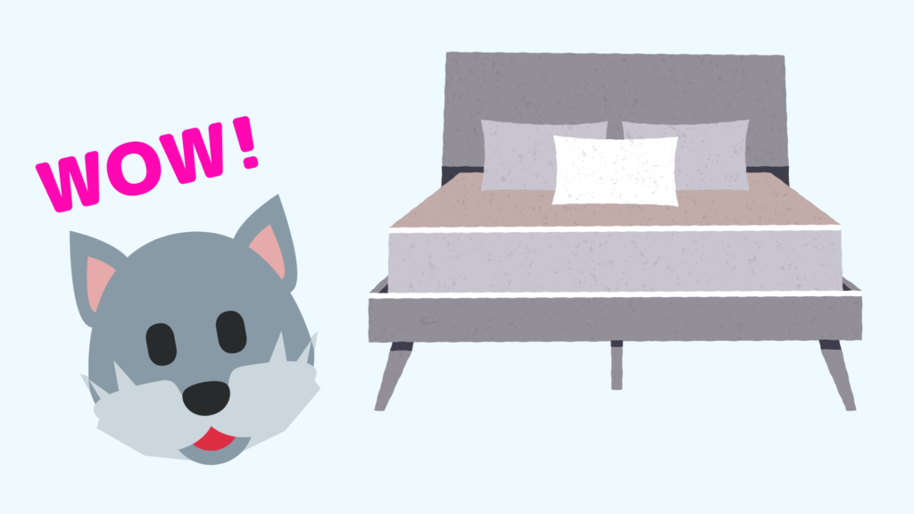 Stray Kids Hyunjin celebrates his dog Kkami’s birthday! Kkami is so ...